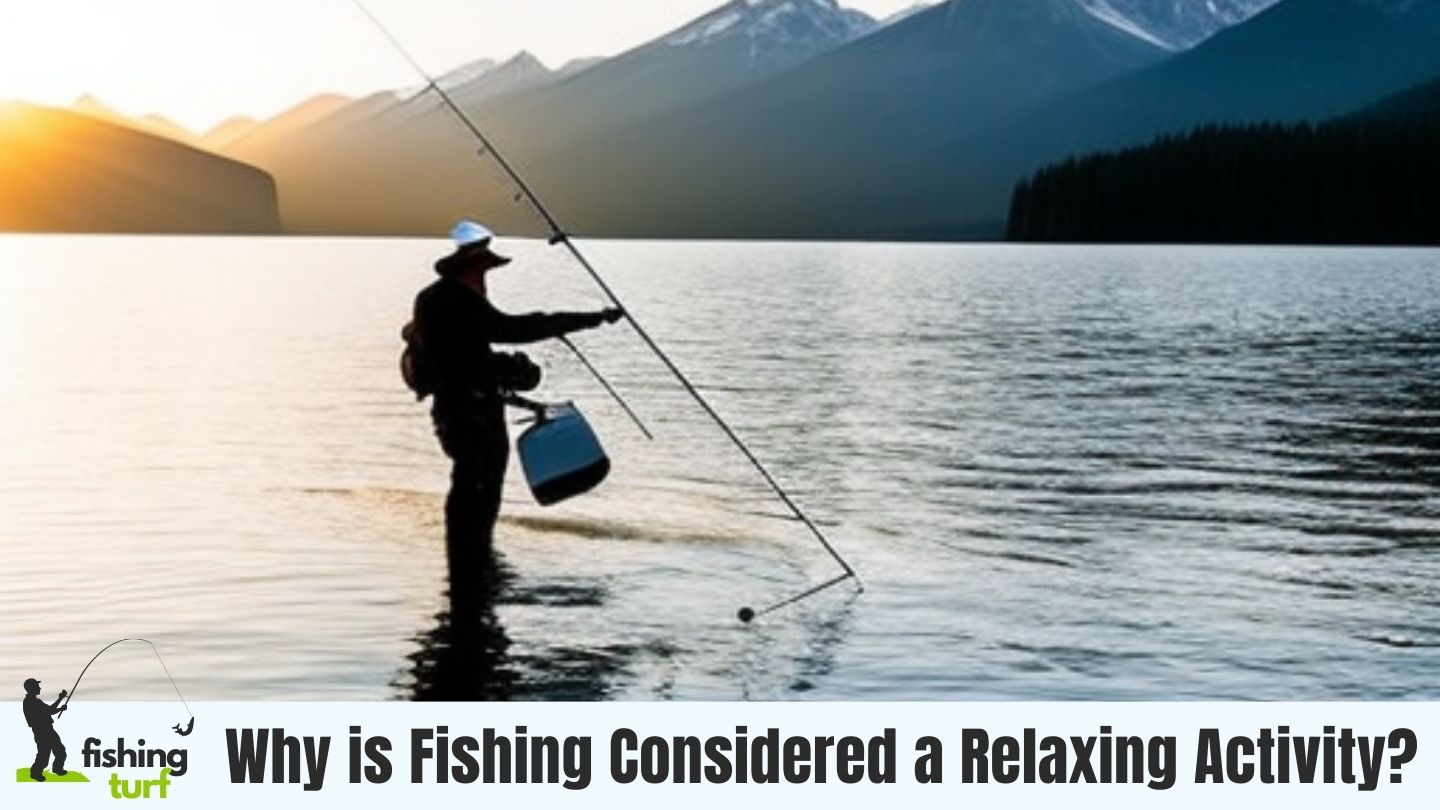The Calming Power of Fishing: Why it's a Relaxing Activity?