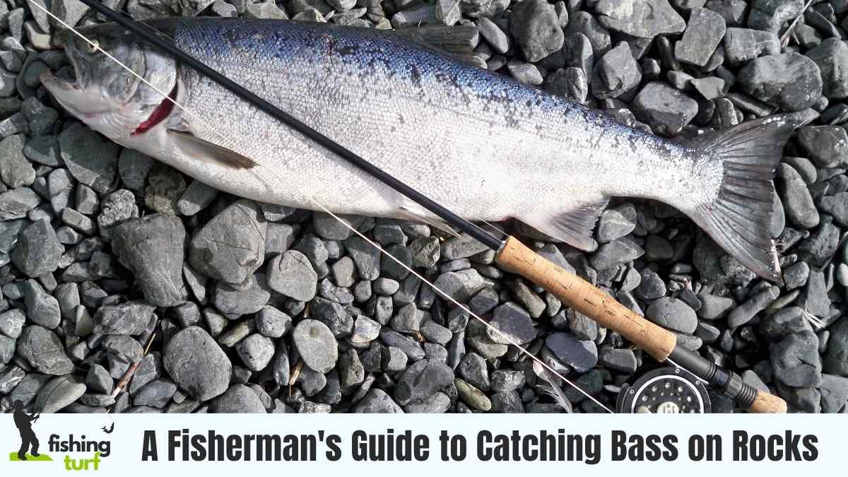 Rockin the Bass » Fisherman's Guide to Catching Bass on Rocks
