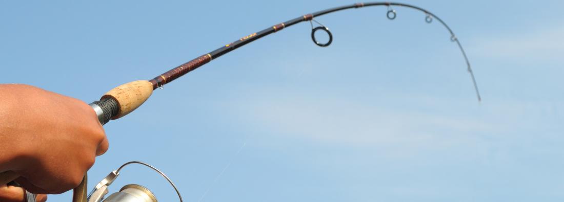 What Type of Rod is Best For Bottom Fishing? - Fishing Turf