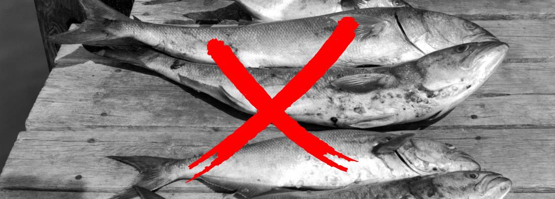 How to Kill a Fish After You Catch It? 4 Humane Methods!