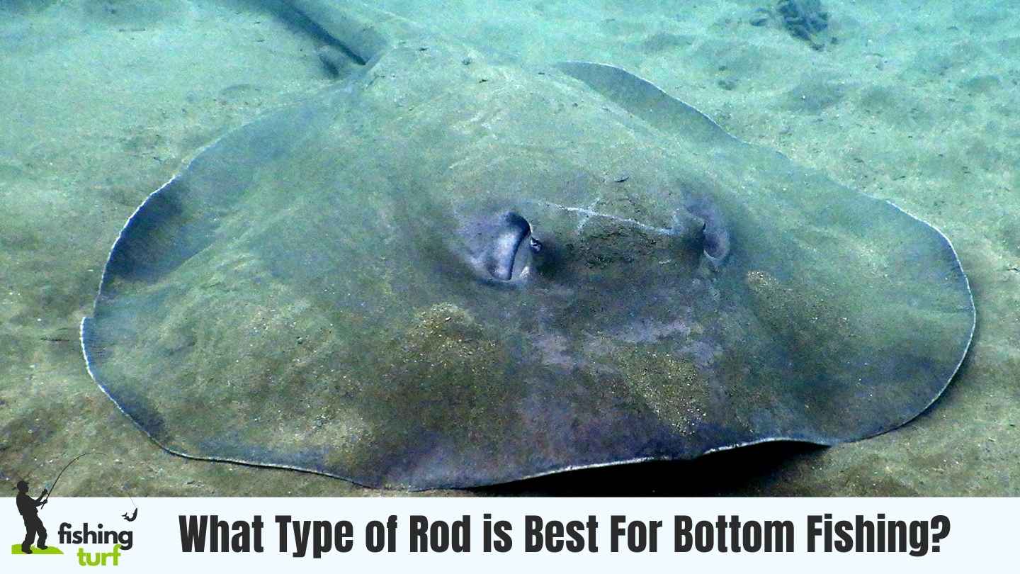What Type of Rod is Best For Bottom Fishing? - Fishing Turf