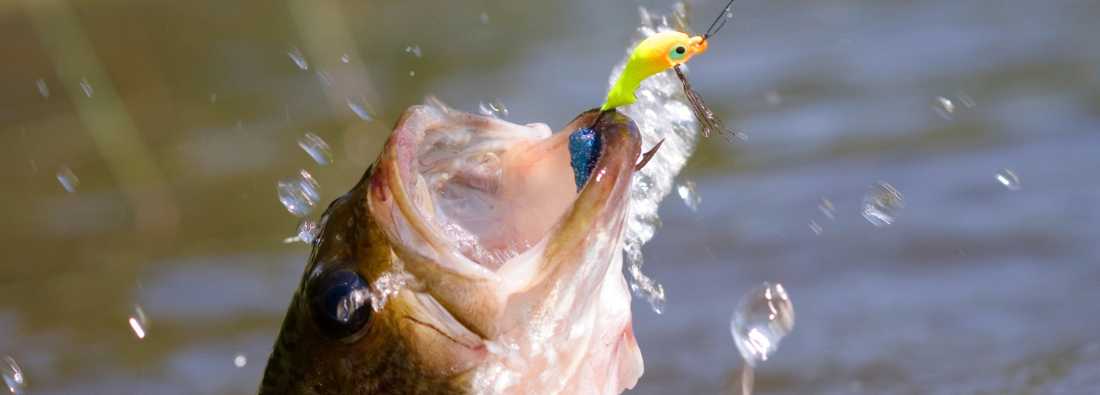 Rockin the Bass » Fisherman's Guide to Catching Bass on Rocks