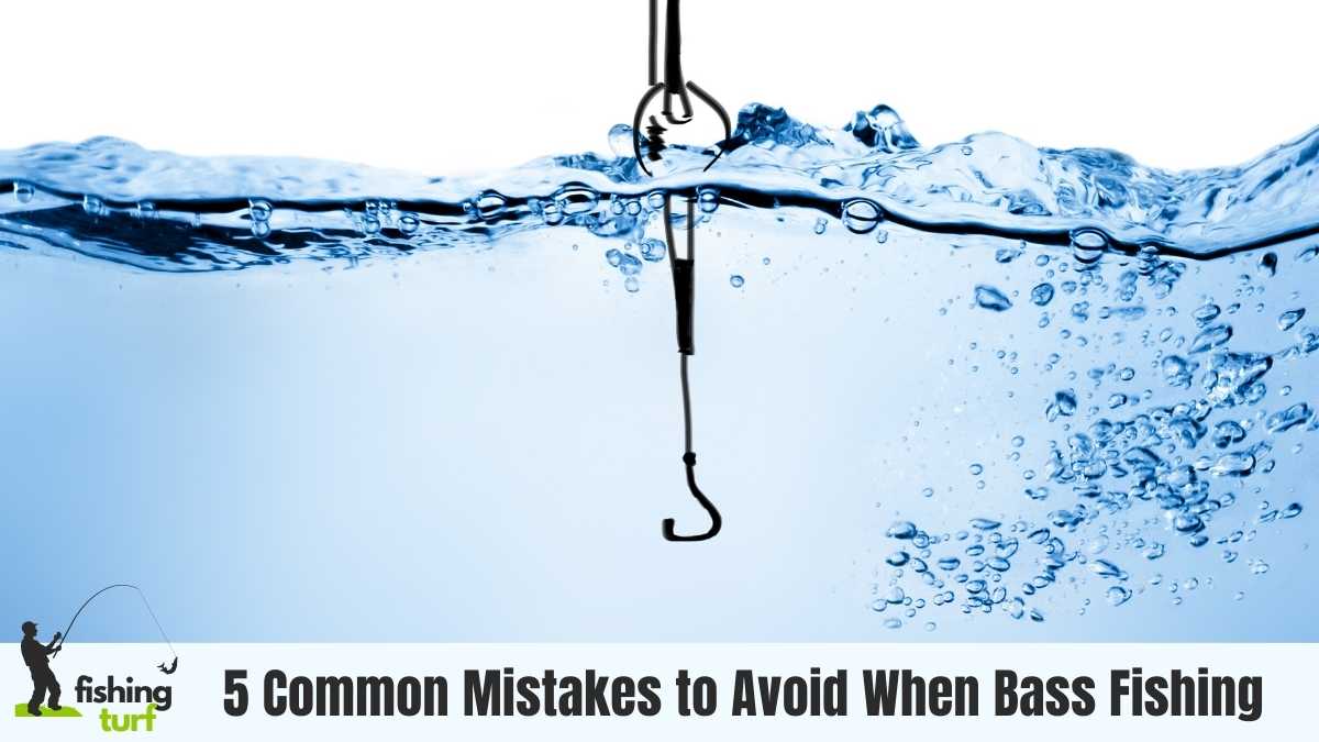 5 Common Bass Fishing Mistakes to Avoid |Tips & Advices