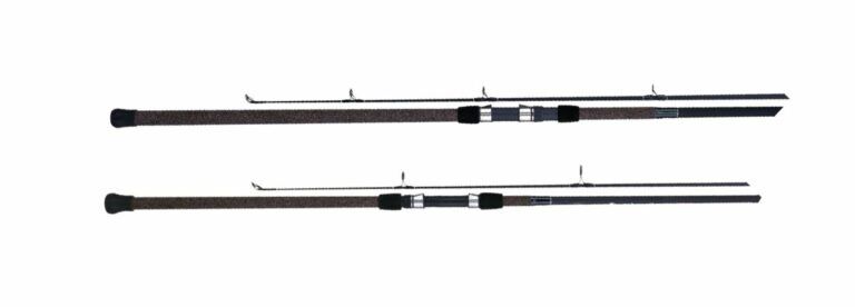 Going the Extra Mile: 5 Best Surfcasting Rods for Distance
