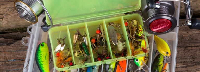 The Complete Starter Fishing Tackle Box: Beginner Essentials