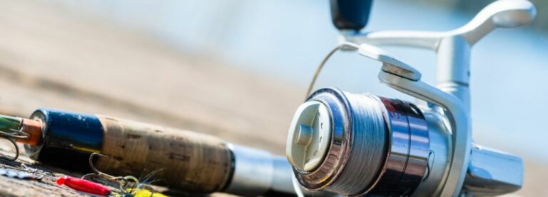 Cork vs. Foam Fishing Rod Handle: Choosing the Perfect Grip