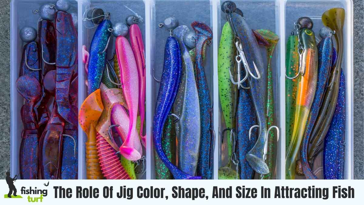 The Role Of Jig Color, Shape, And Size In Attracting Fish