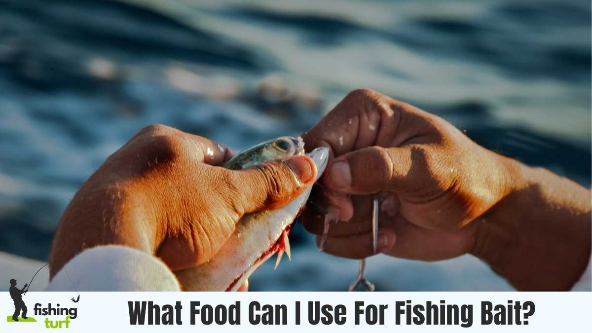 What Food Can I Use For Fishing Bait?